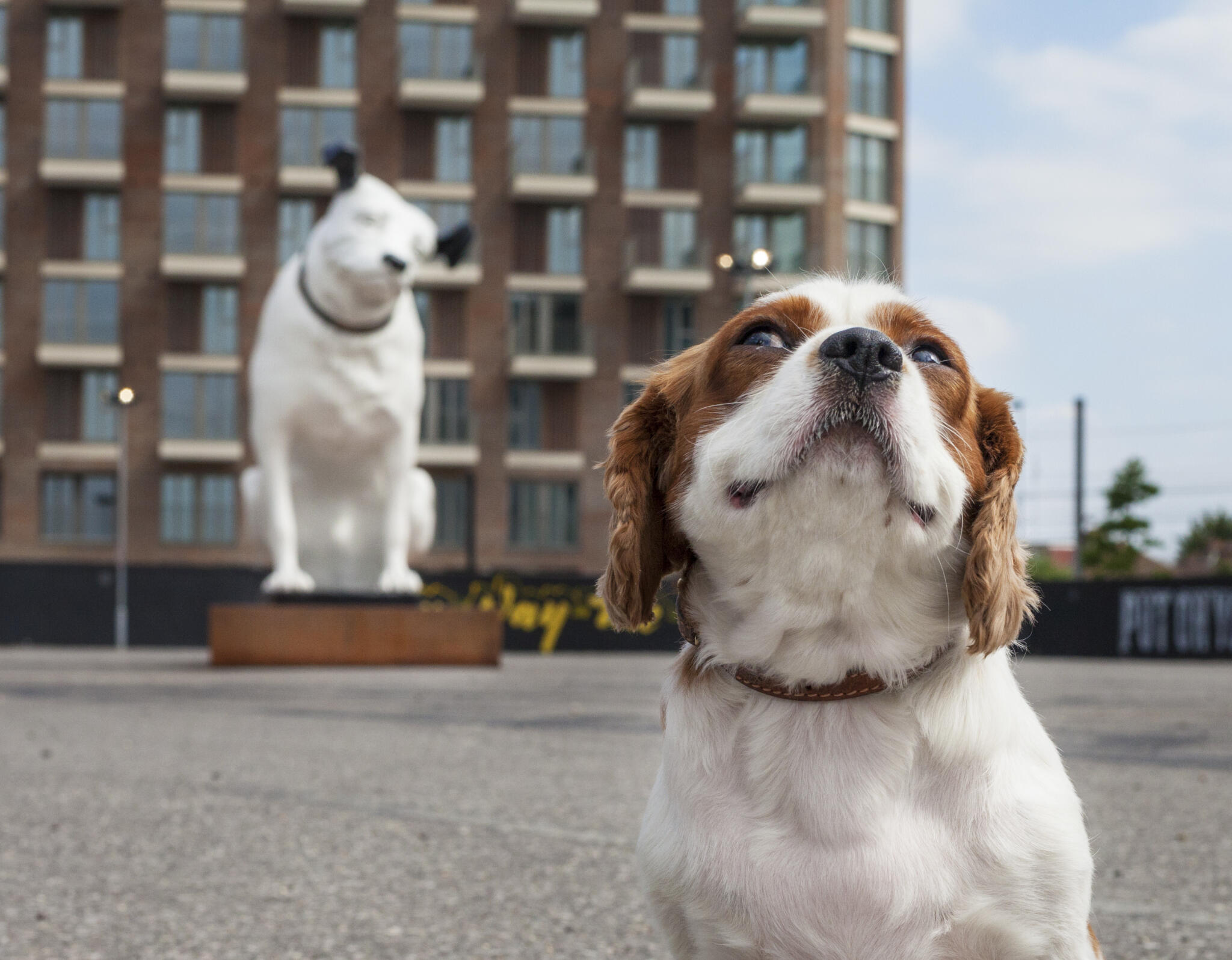 HomeViews | Fizzy Hayes, UB3 Reviews